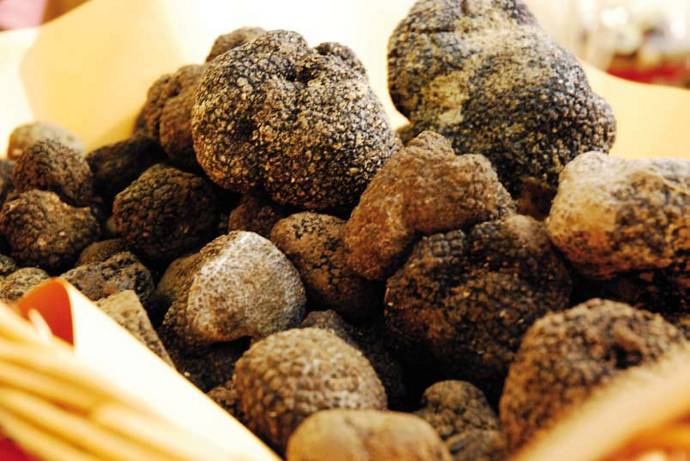 Trufle na wiele sposobów - Uroda, Moda, Zdrowie, Kuchnia, Psychologia ...